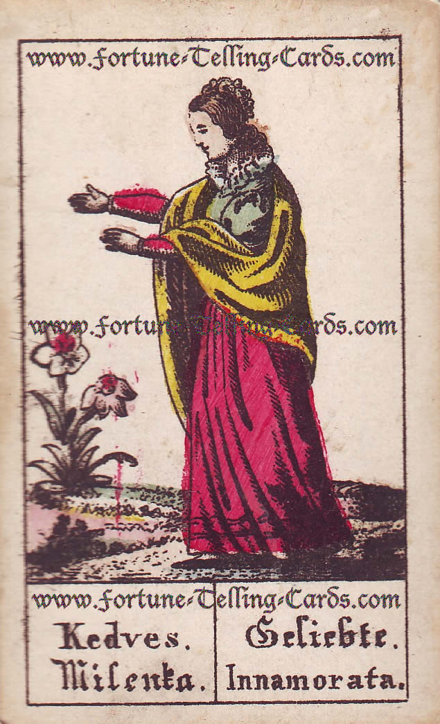 Sibilla Cards, Gypsy Fortune Telling Cards antique collection for sale